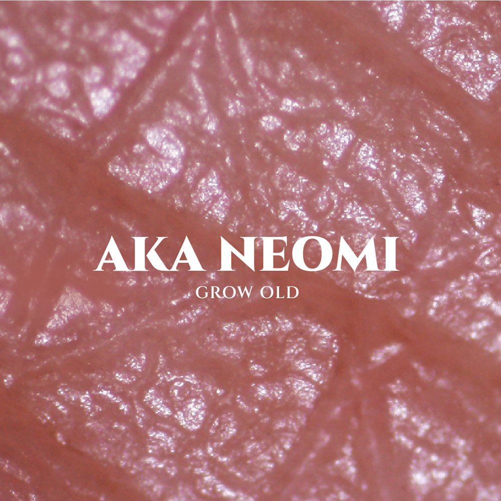 AKA Neomi, Grow Old (Single) in High-Resolution Audio - ProStudioMasters