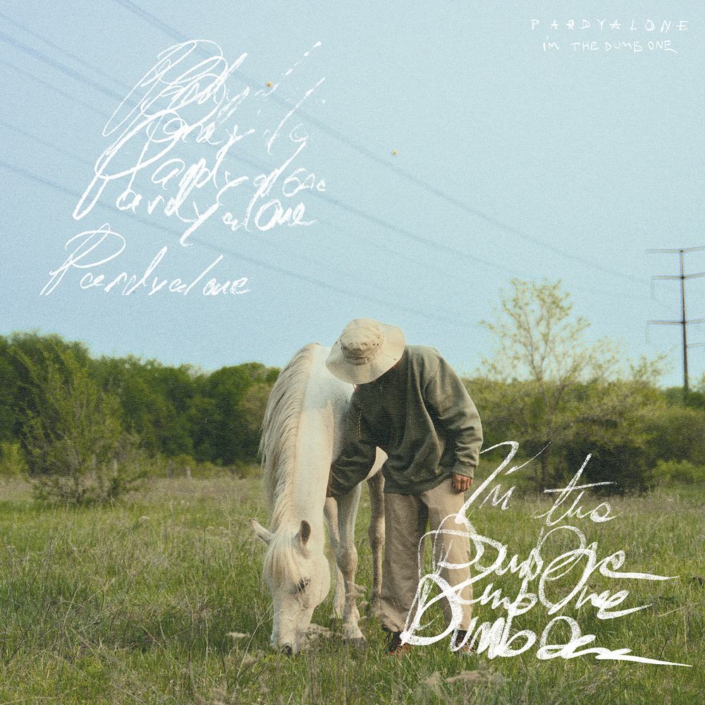 Pardyalone, I'm The Dumb One (Single) in High-Resolution Audio ...