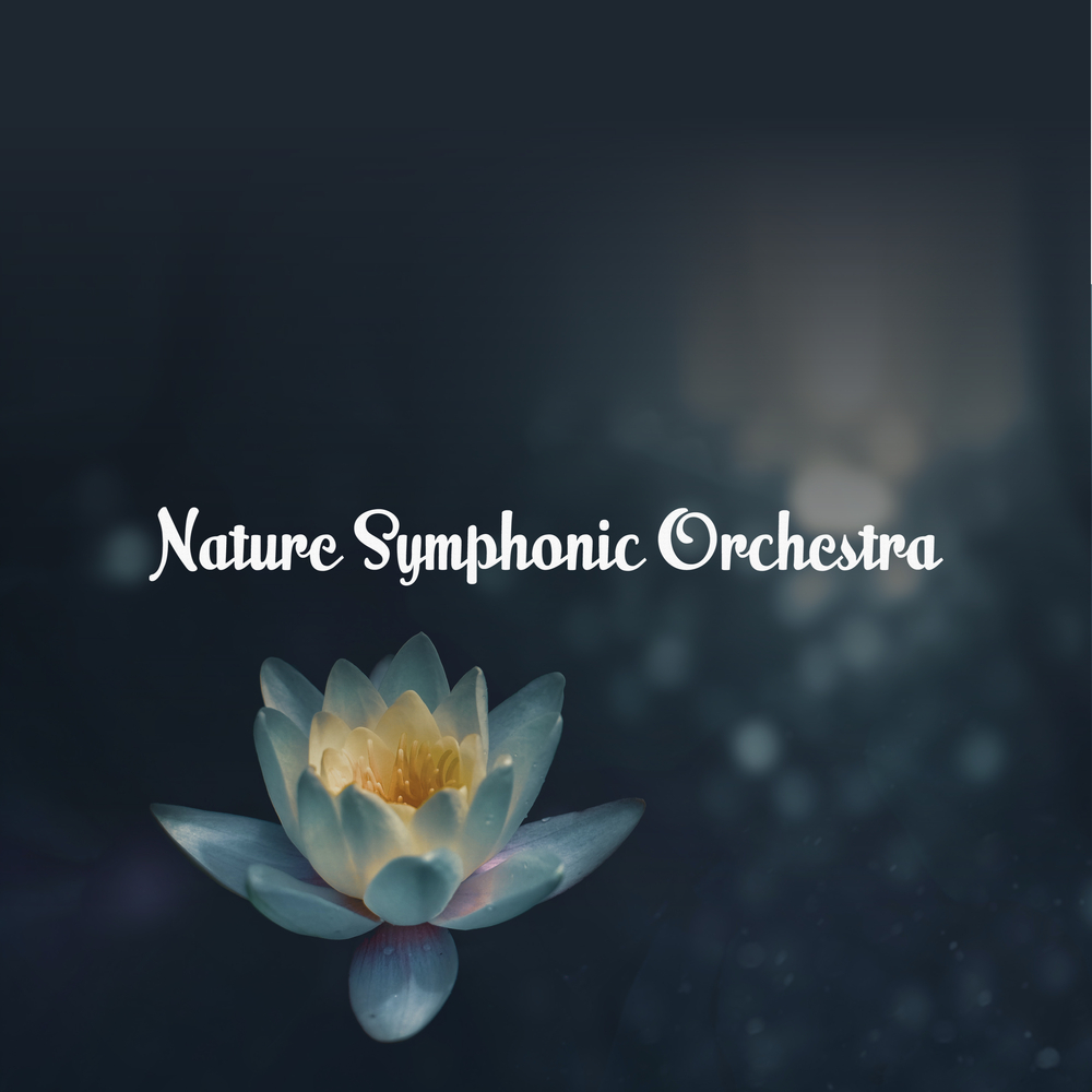 Nature Symphonic Orchestra, Sunshine & Motivation Sound Bath in High ...