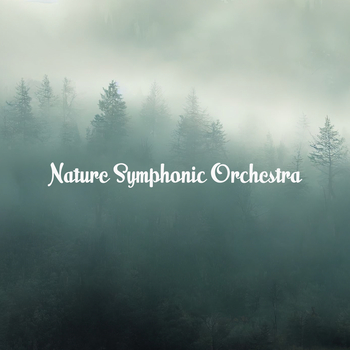 Nature Symphonic Orchestra, Calming Nature in High-Resolution Audio ...