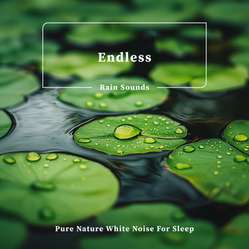 Cool Music, Endless Rain Sounds Pure Nature White Noise For Sleep in ...
