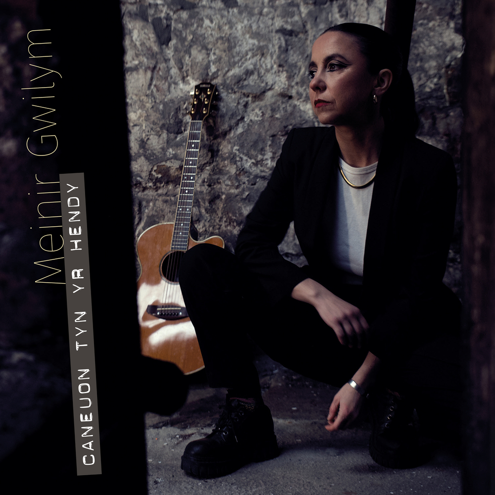 Meinir Gwilym, Caneuon Tyn Yr Hendy in High-Resolution Audio ...