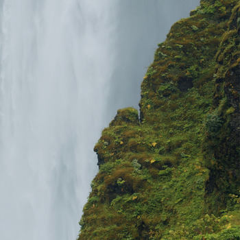 Jay Ocean, IALY (Single) in High-Resolution Audio - ProStudioMasters