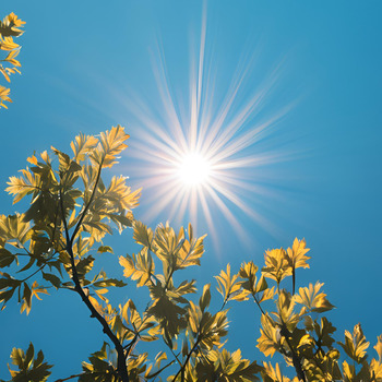 Jay Ocean, Angel (Single) in High-Resolution Audio - ProStudioMasters