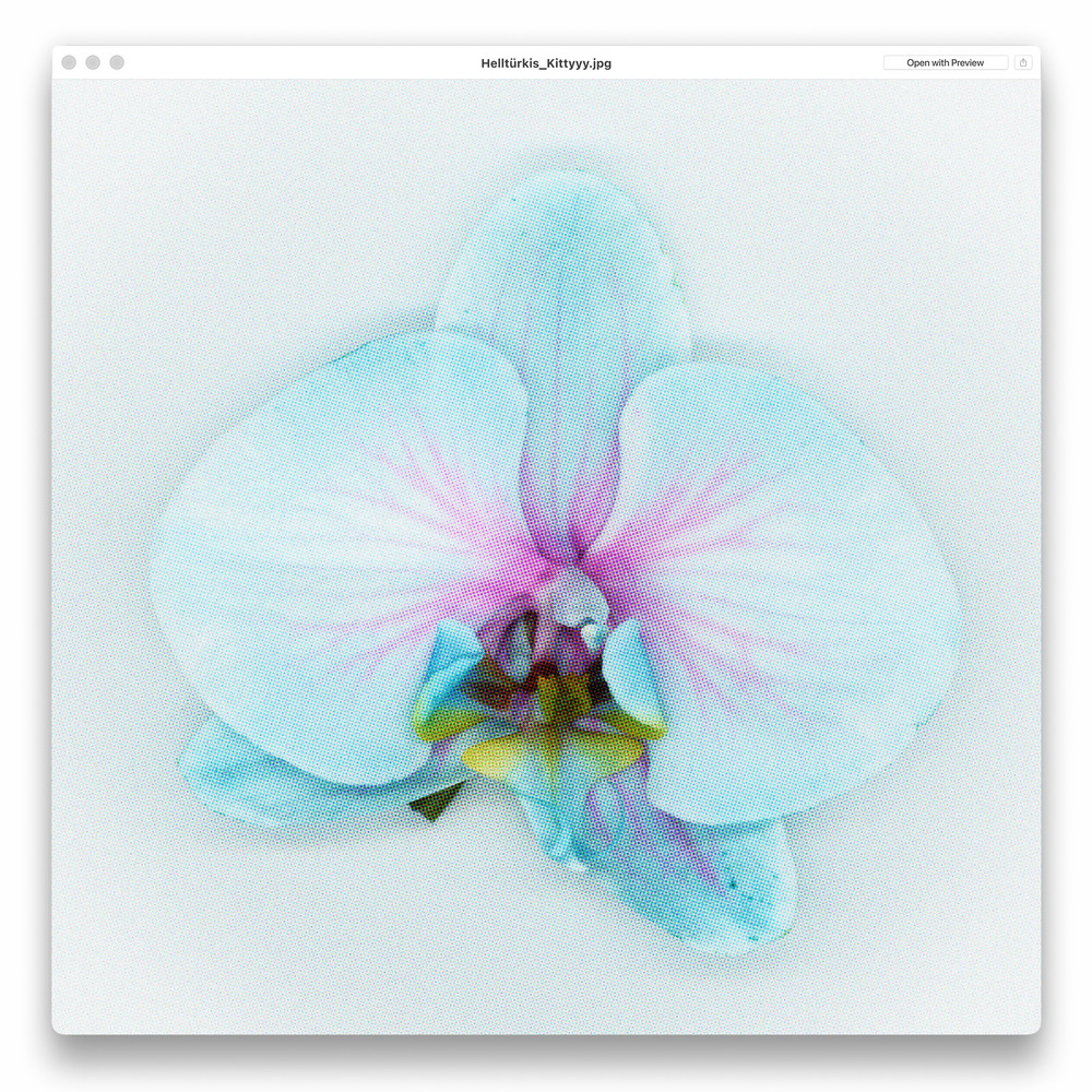 kittyyy, helltürkis (Single) in High-Resolution Audio - ProStudioMasters