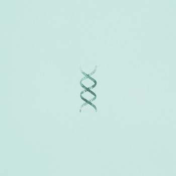 BOY LOCO, DNA (Single) in High-Resolution Audio - ProStudioMasters