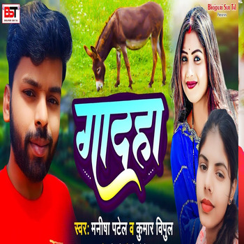 Kumar Vipul; Maneesh Patel; Bipul Deewane; Ajeet Rajeev, Gadaha (Single) in High-Resolution ...