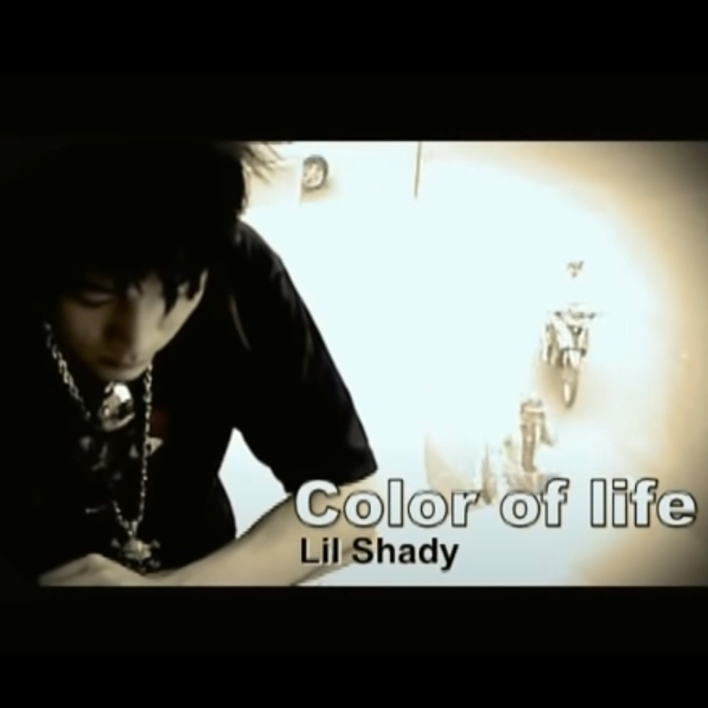 Lil Shady, Color Of Life (Single) in High-Resolution Audio ...
