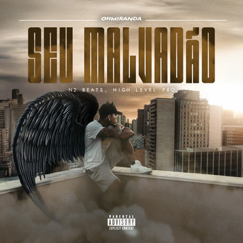 Oh Miranda; N2 Beats; High Level Pro, Seu Malvadão (Single) in High-Resolution Audio ...