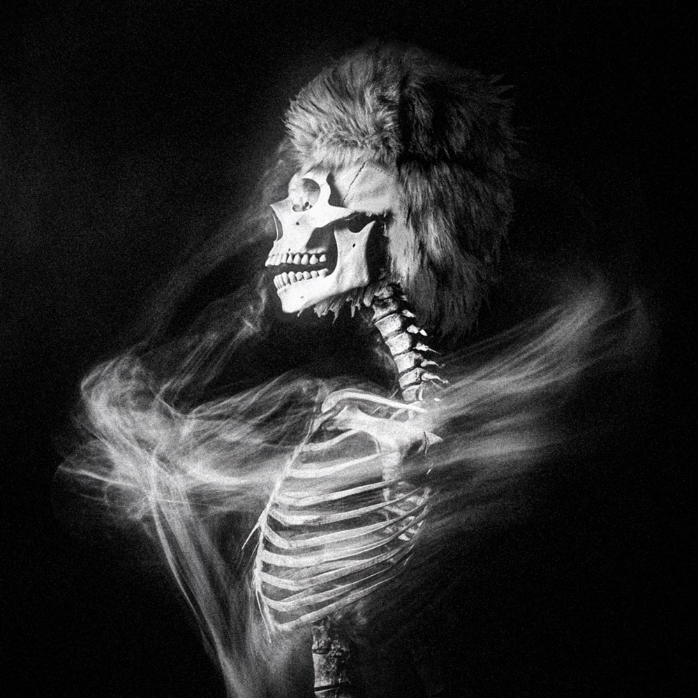 blame, INFERNO (Single) in High-Resolution Audio - ProStudioMasters