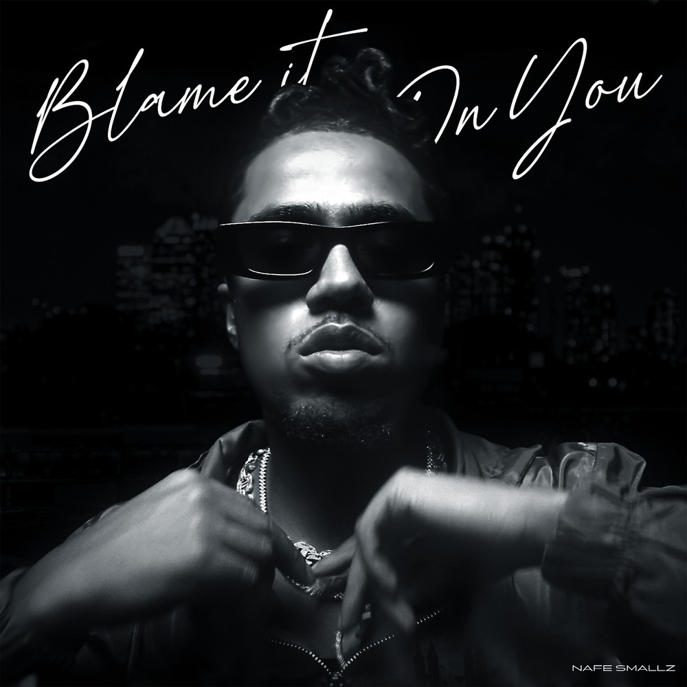 Nafe Smallz, Blame It On You (Single) in High-Resolution Audio - ProStudioMasters