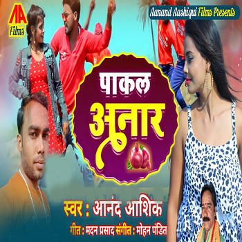 Anand Aashik; Mohan Pandit; Madan Prasad, Pakal Anar (Single) in High-Resolution Audio ...