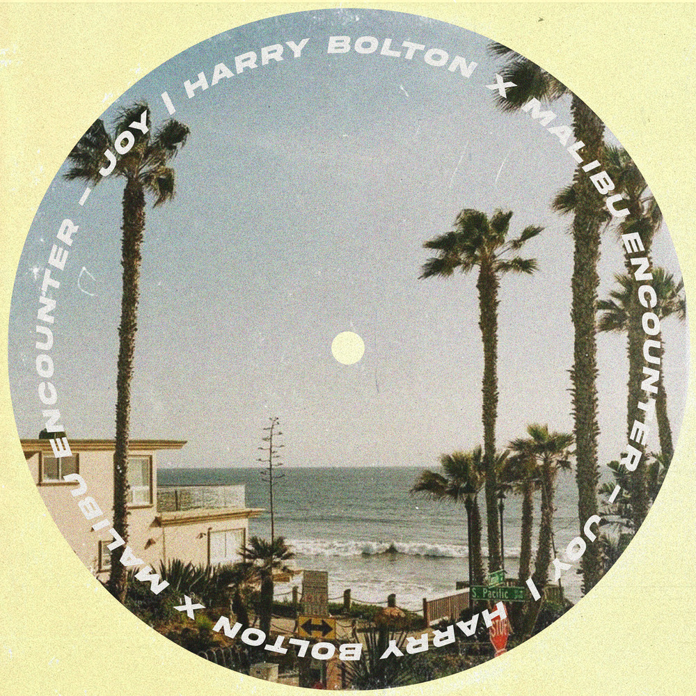 Harry Bolton; Malibu Encounter, Joy (Single) in High-Resolution Audio ...