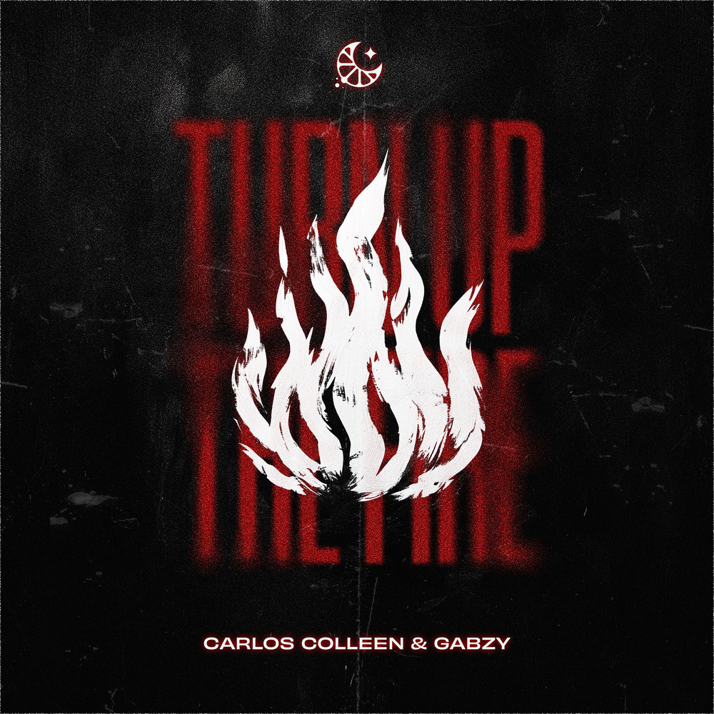 Carlos Colleen; Gabzy, Turn Up the Fire (Single) in High-Resolution ...