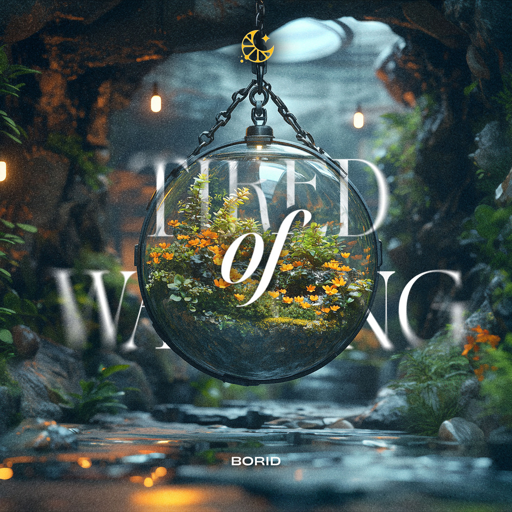 Borid, Tired Of Wanting (Single) in High-Resolution Audio ...