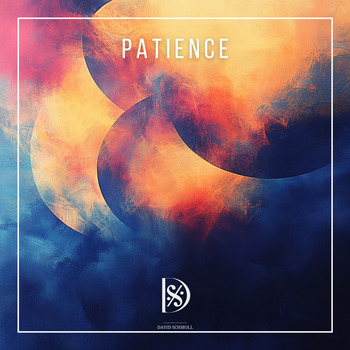 David Schmoll, Patience (Single) in High-Resolution Audio ...
