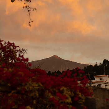 Bastido, Teide in High-Resolution Audio - ProStudioMasters
