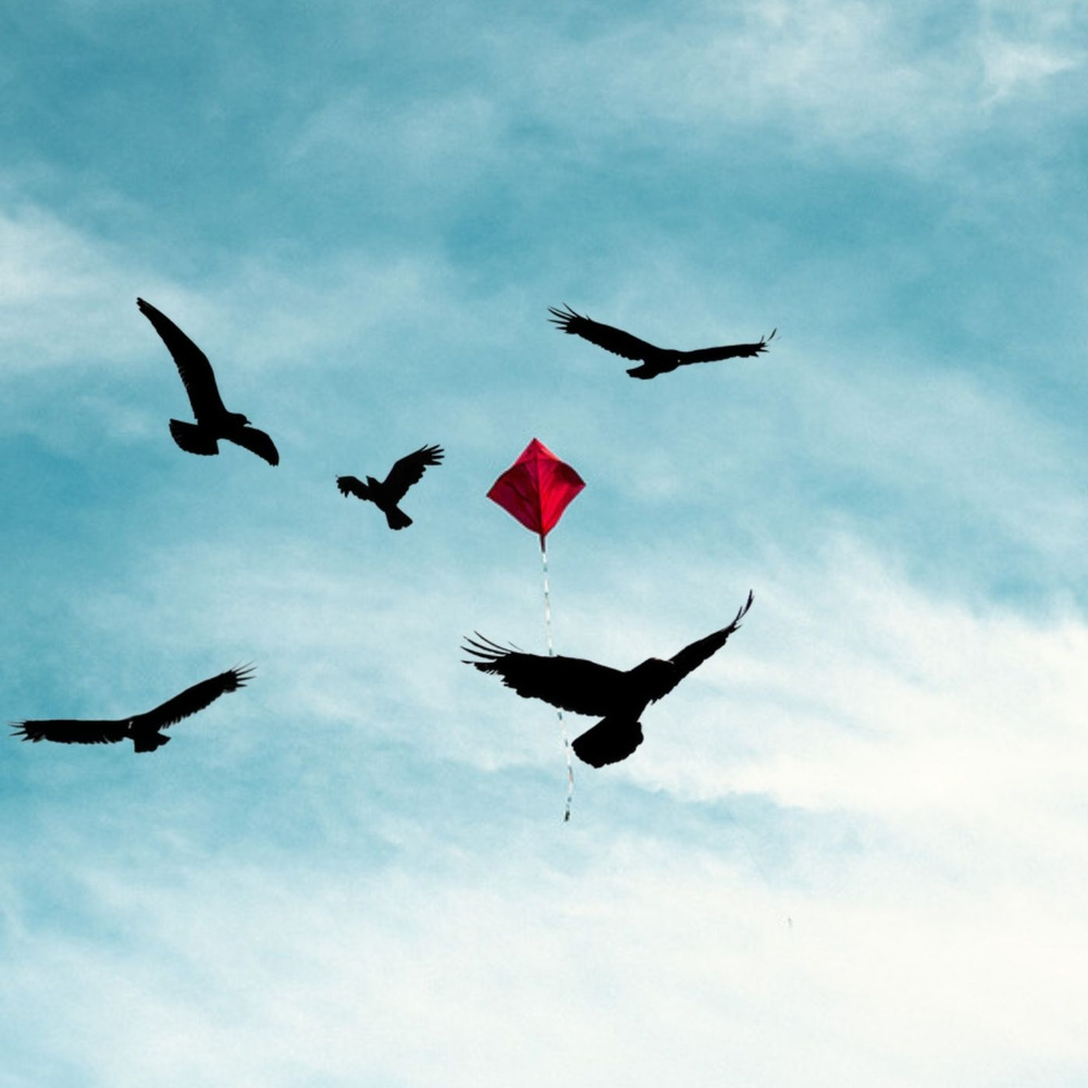 Shpat Deda, Ditë e re & Kalimthi (Live / Single) in High-Resolution ...