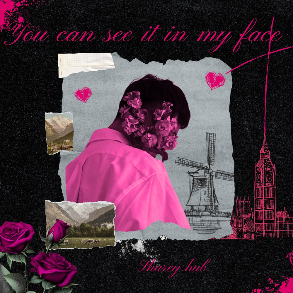 Sharey Hub, You can see it in my Face in High-Resolution Audio ...