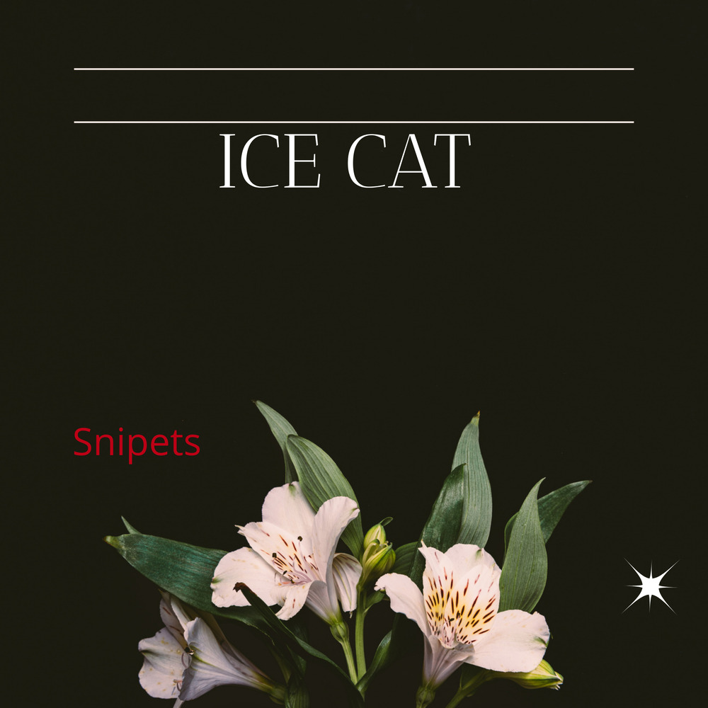 snipets, ice cat in High-Resolution Audio - ProStudioMasters