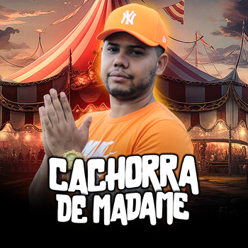 DJ PHCBA, CACHORRA DE MADAME (Single) in High-Resolution Audio ...