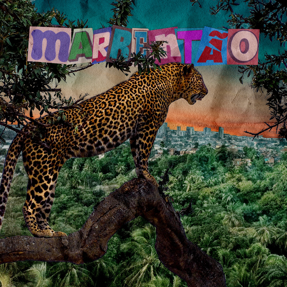 RICCI; DJ Lino, MARRENTÃO (feat. DJ Lino / Single) in High-Resolution ...