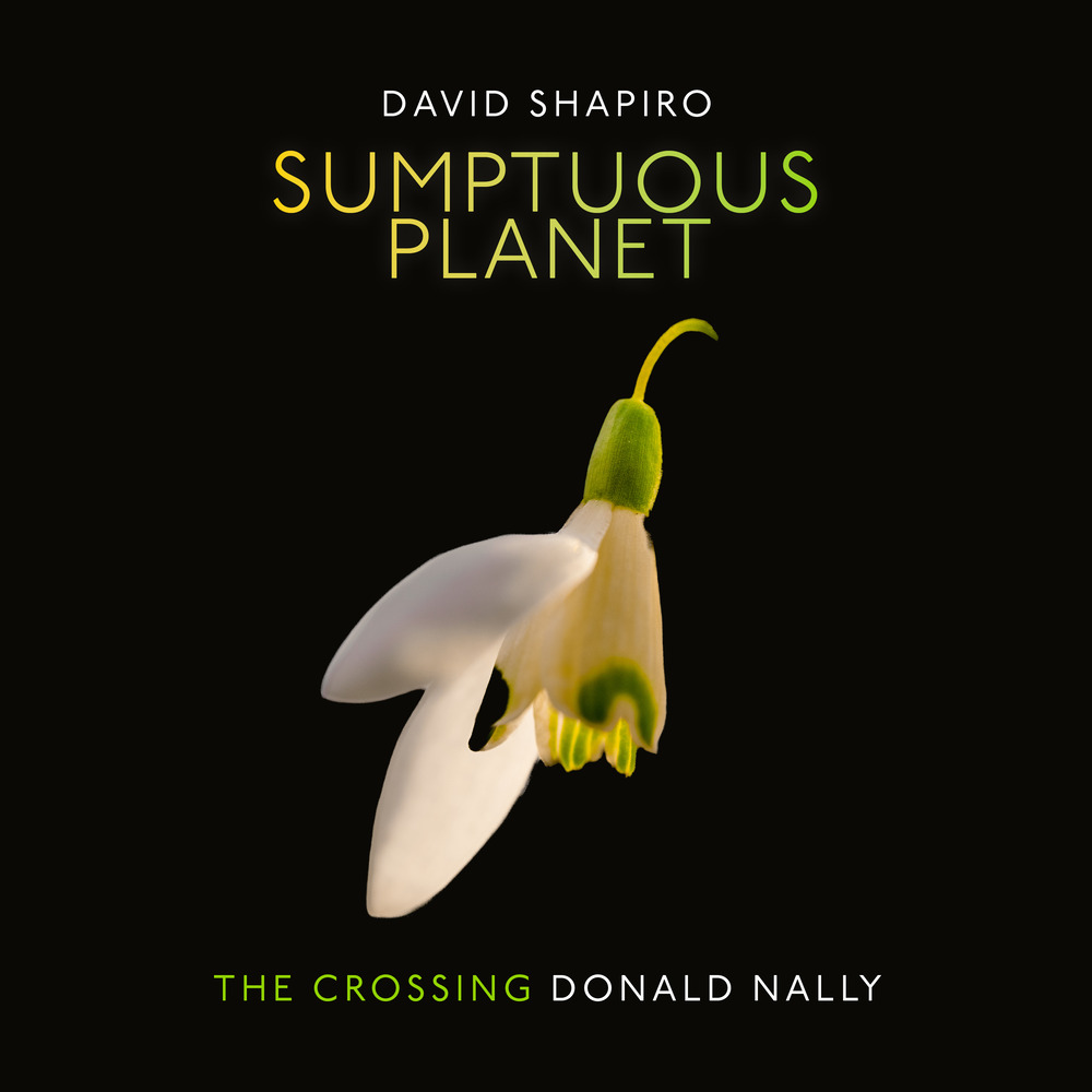 The Crossing; Donald Nally, David Shapiro: Sumptuous Planet (A Secular ...