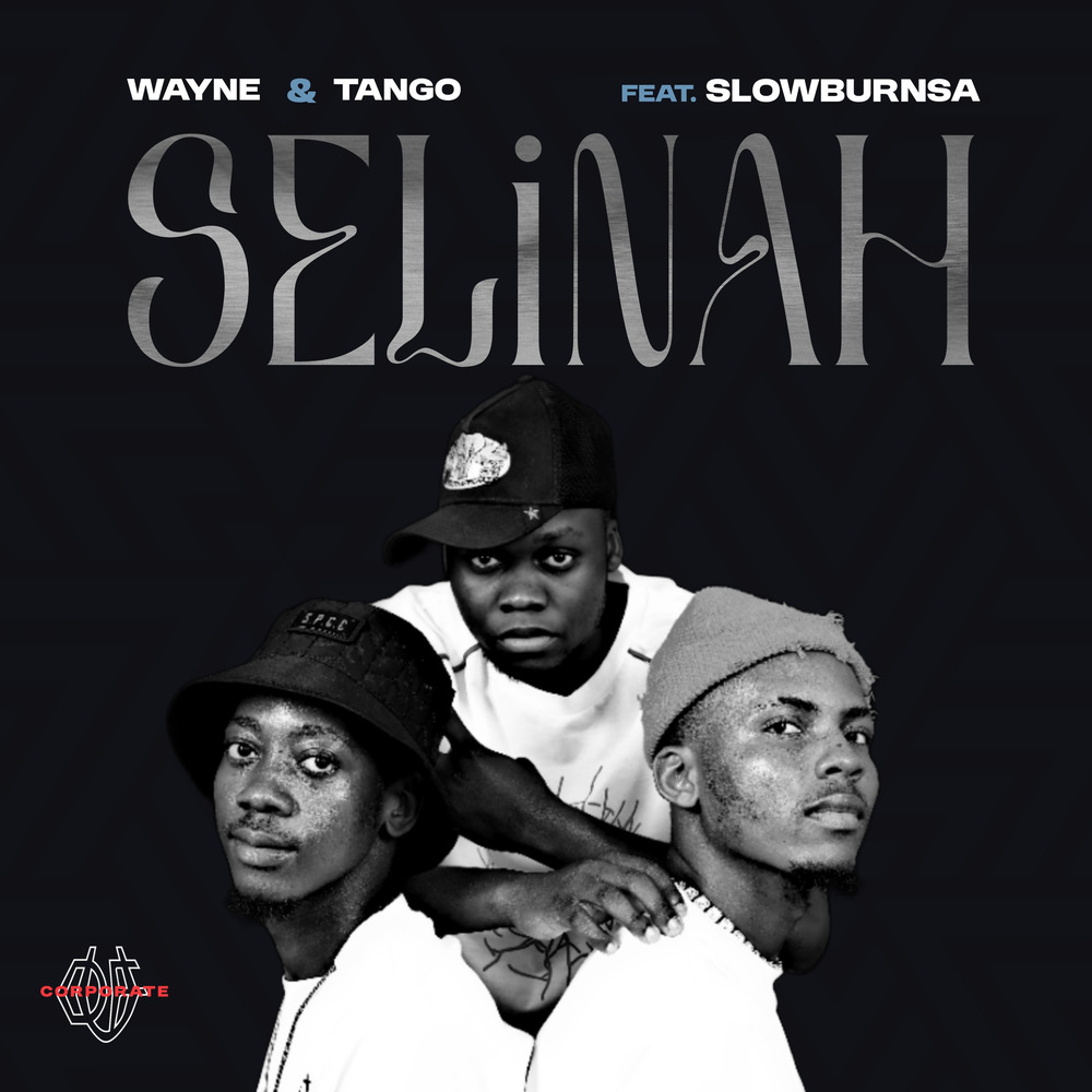Wayne & Tango; SlowburnSA, Selinah (feat. SlowburnSA / Single) in High-Resolution Audio ...