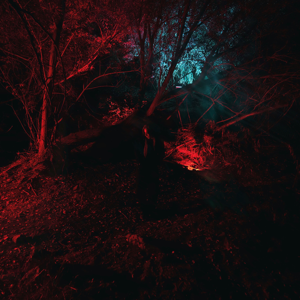 Kami Kehoe, KAMELEON in High-Resolution Audio - ProStudioMasters