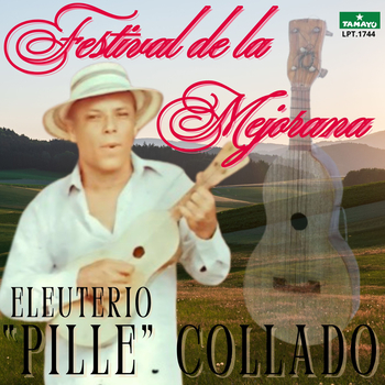Eleuterio Pille Collado, Festival de la mejorana in High-Resolution ...