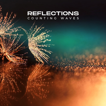 Counting Waves, Reflections (Single) in High-Resolution Audio ...
