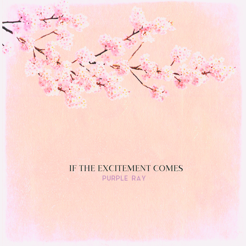 Purple Ray, If You Are Excited in High-Resolution Audio - ProStudioMasters