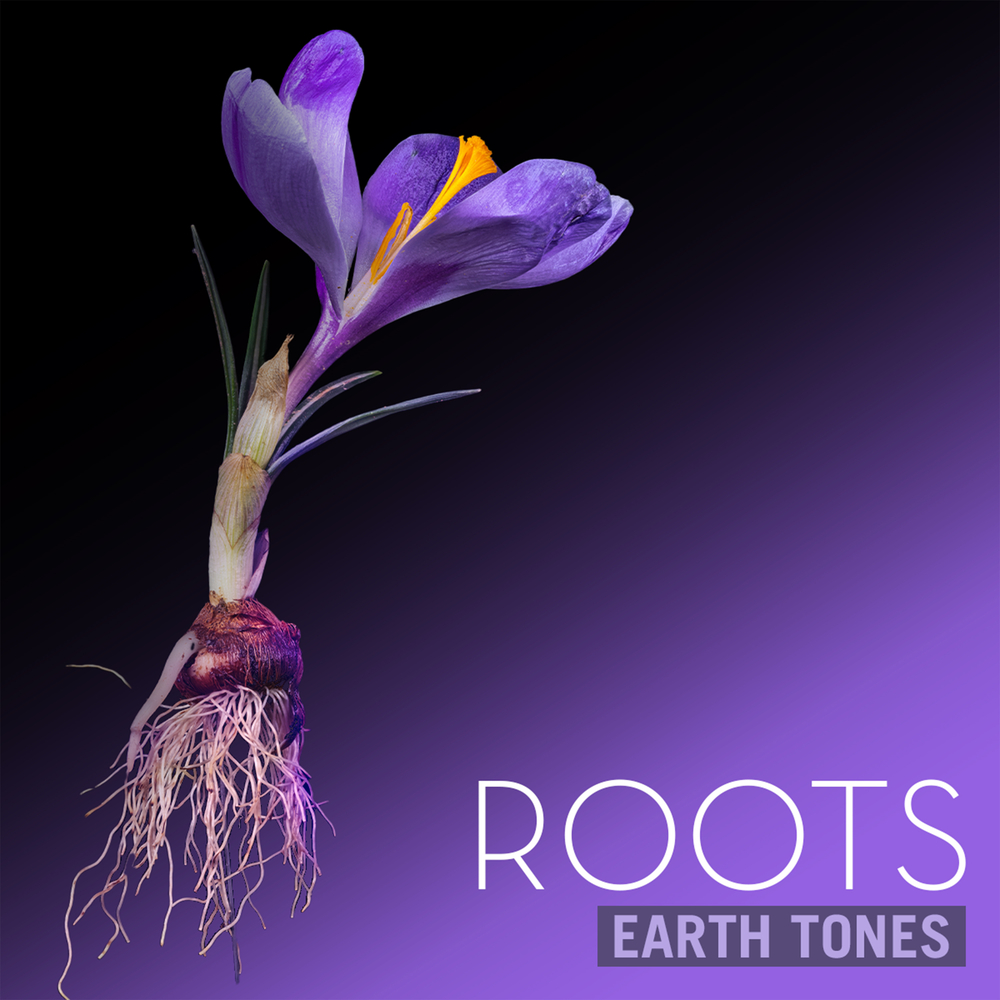 Bleeding Fingers, Earth Tones: Roots in High-Resolution Audio ...