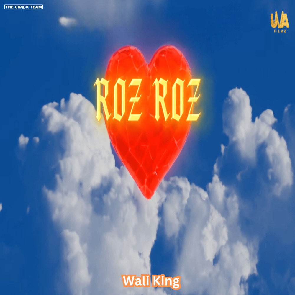 Wali King, Roz Roz (Single) in High-Resolution Audio - ProStudioMasters