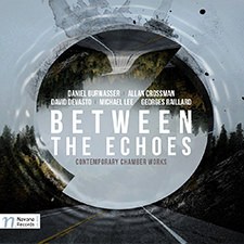 Various Artists, Between the Echoes: Daniel Burwasser - Allan Crossman - David DeVasto - Michael ...