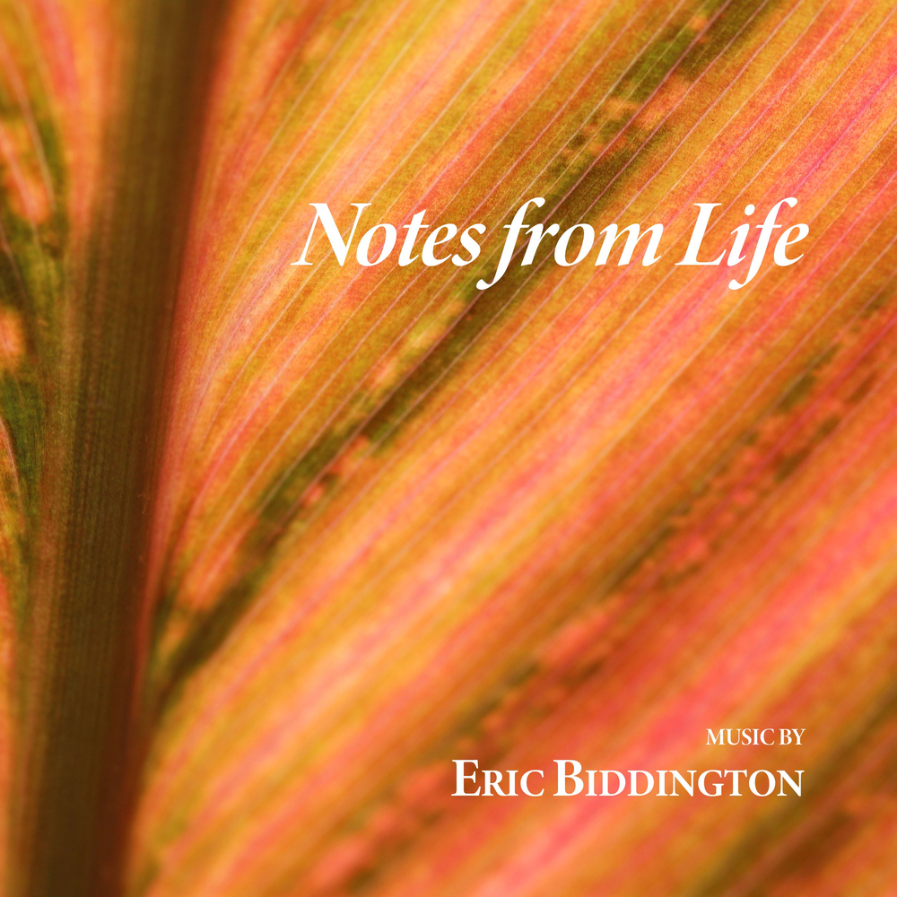 Eric Biddington, Notes from Life in High-Resolution Audio ...